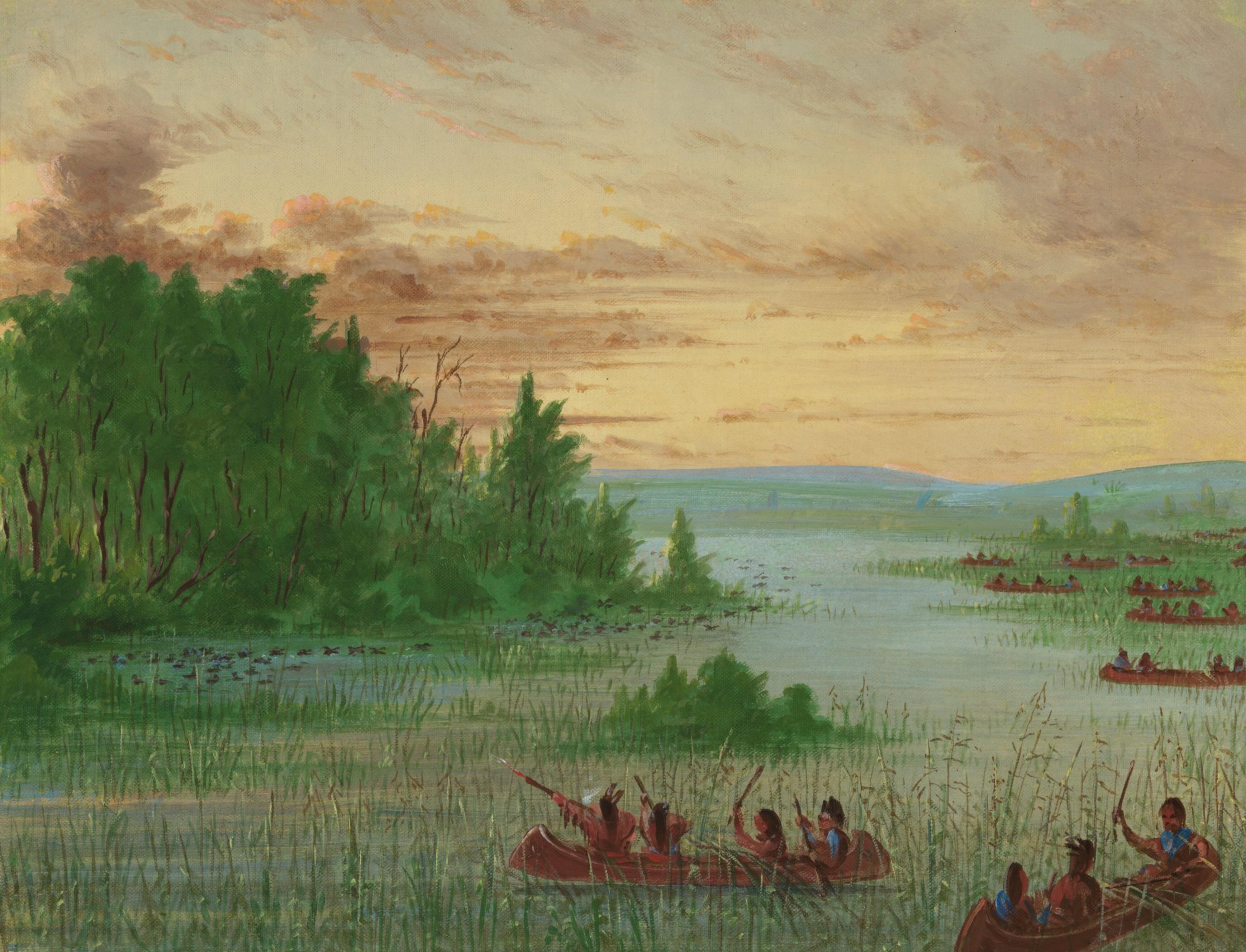 Ojibway Indians Gathering Wild Rice / George Catlin - Gilcrease Museum