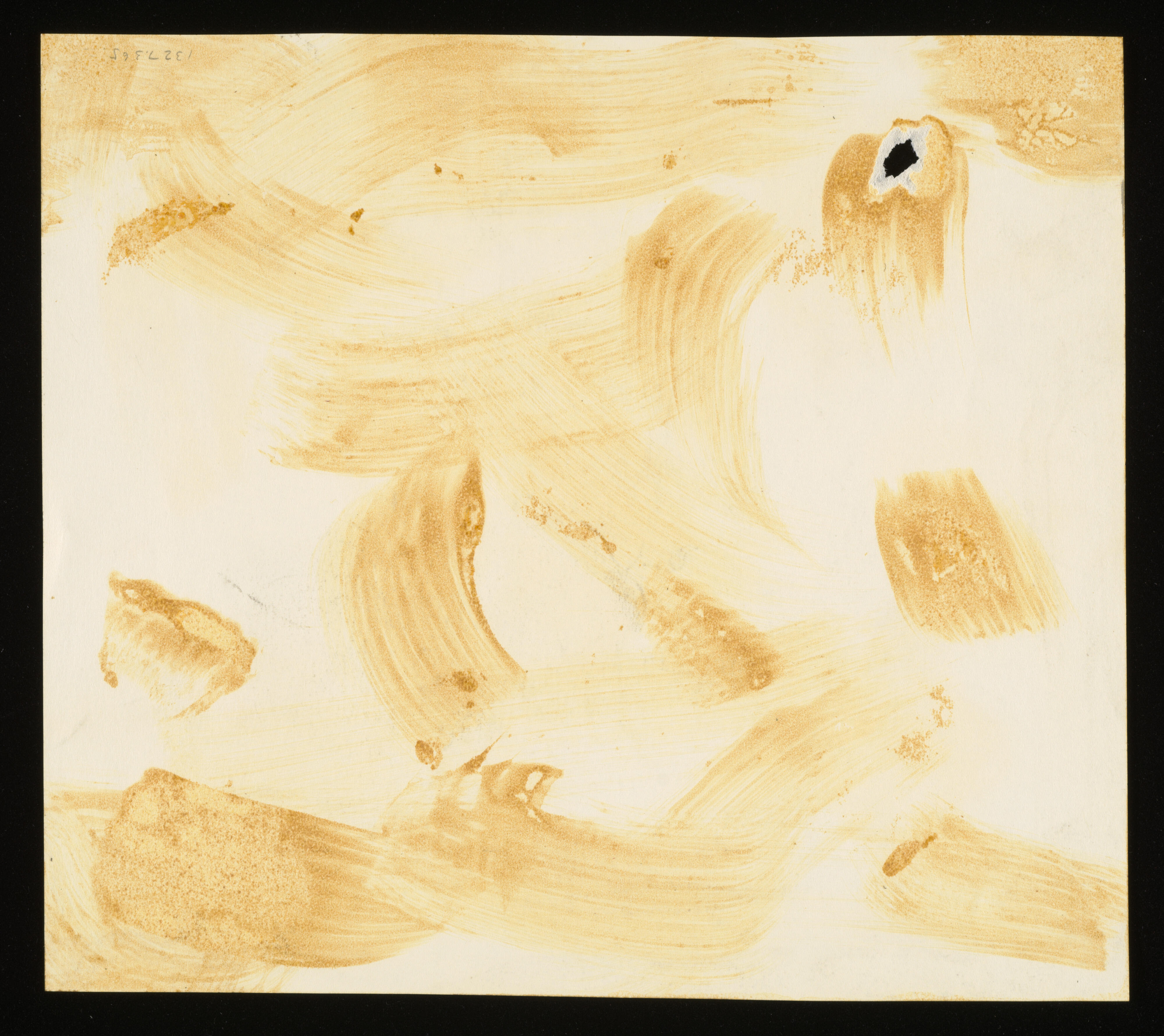 Fancy Eagle, the Last of the Pawnee Scouts / Brummett Echohawk ...