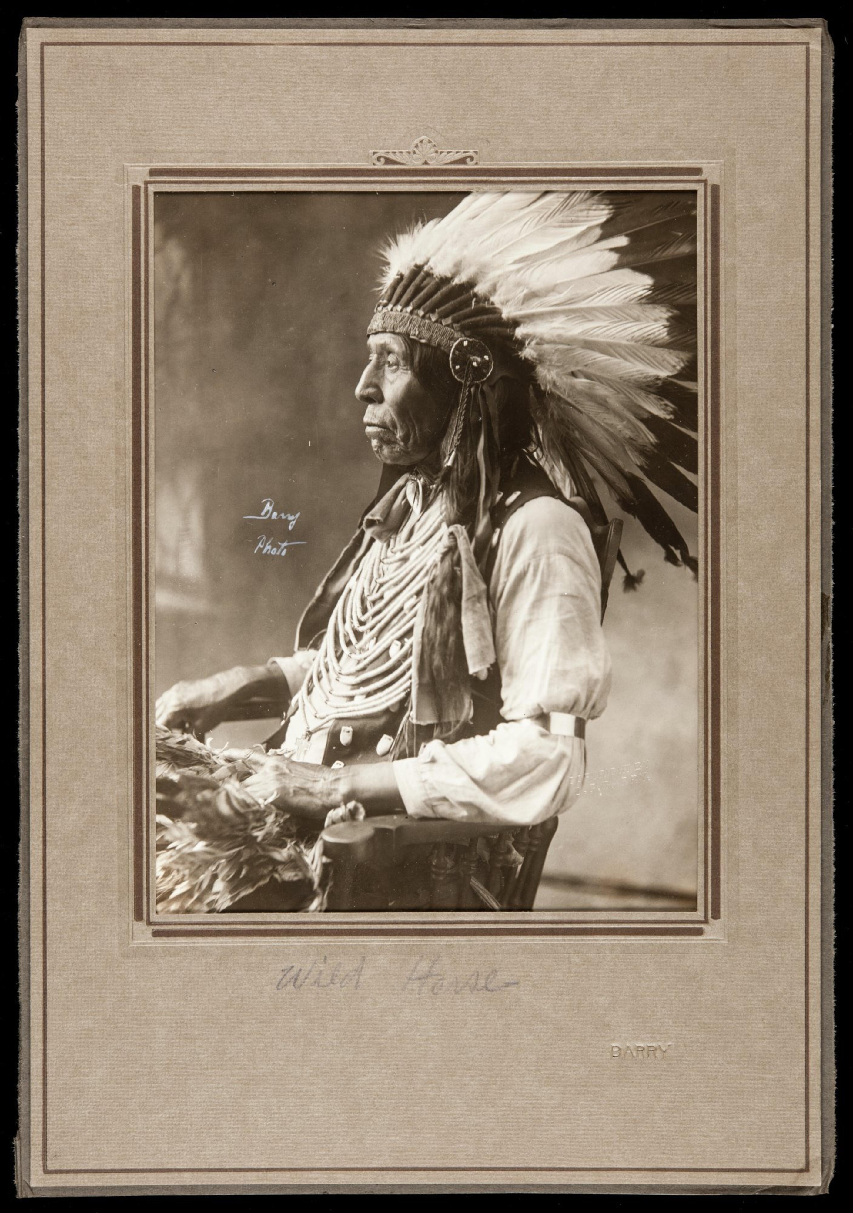 Chief Wild Horse, Crazy Horse's Cousin / D. F. Barry - Gilcrease Museum
