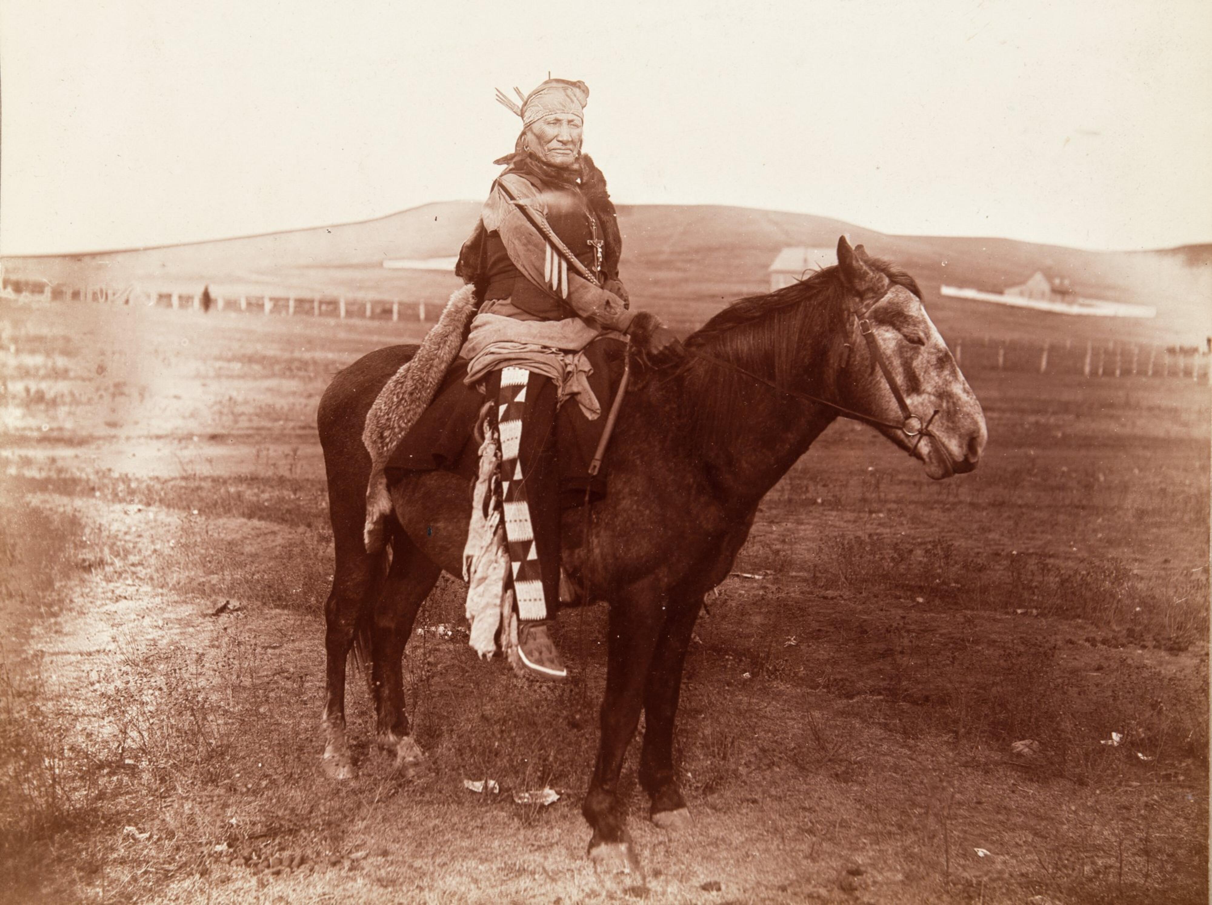 Long Dog / D. F. Barry - Gilcrease Museum