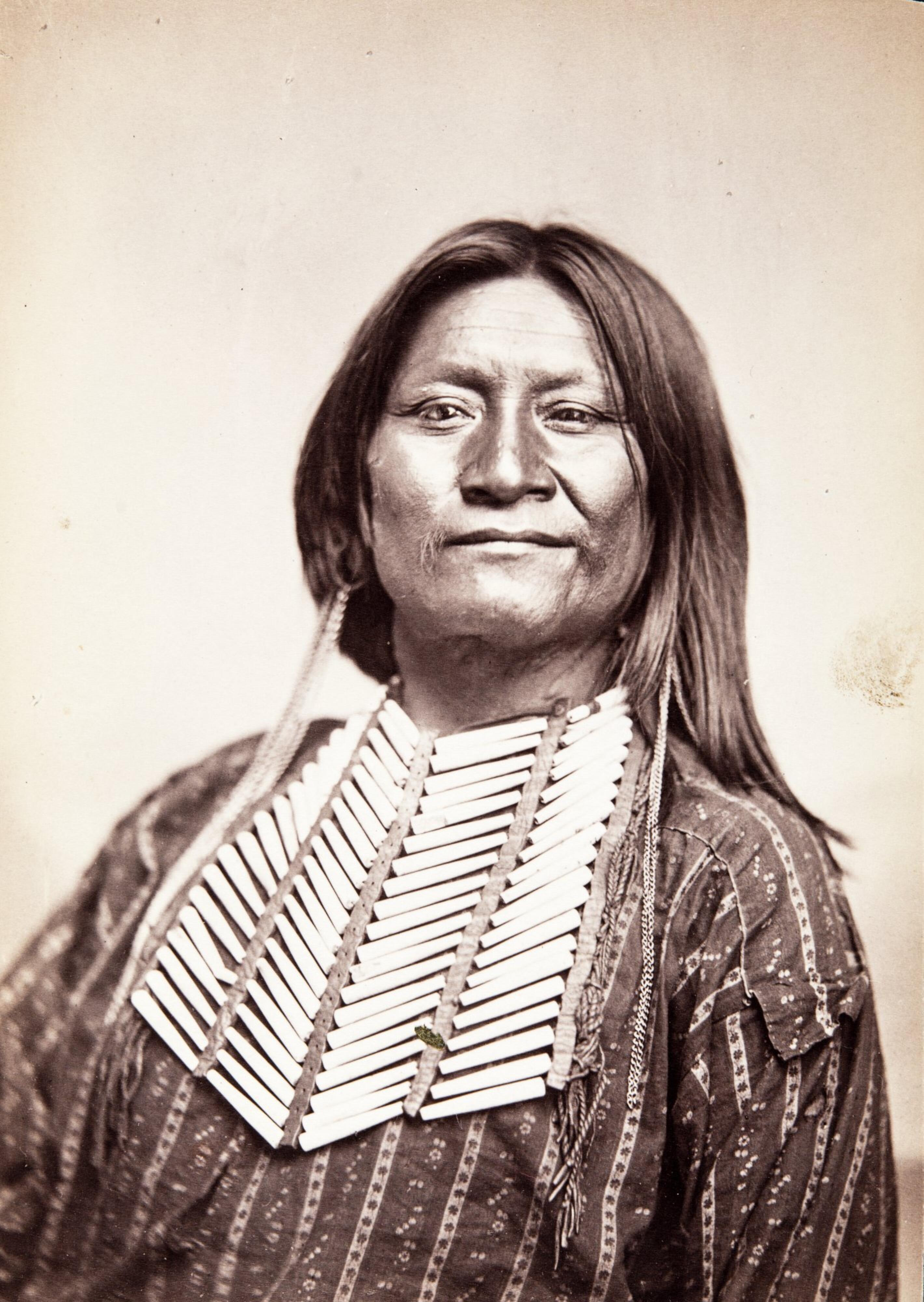 Chief Heap Wolves / Unknown - Gilcrease Museum