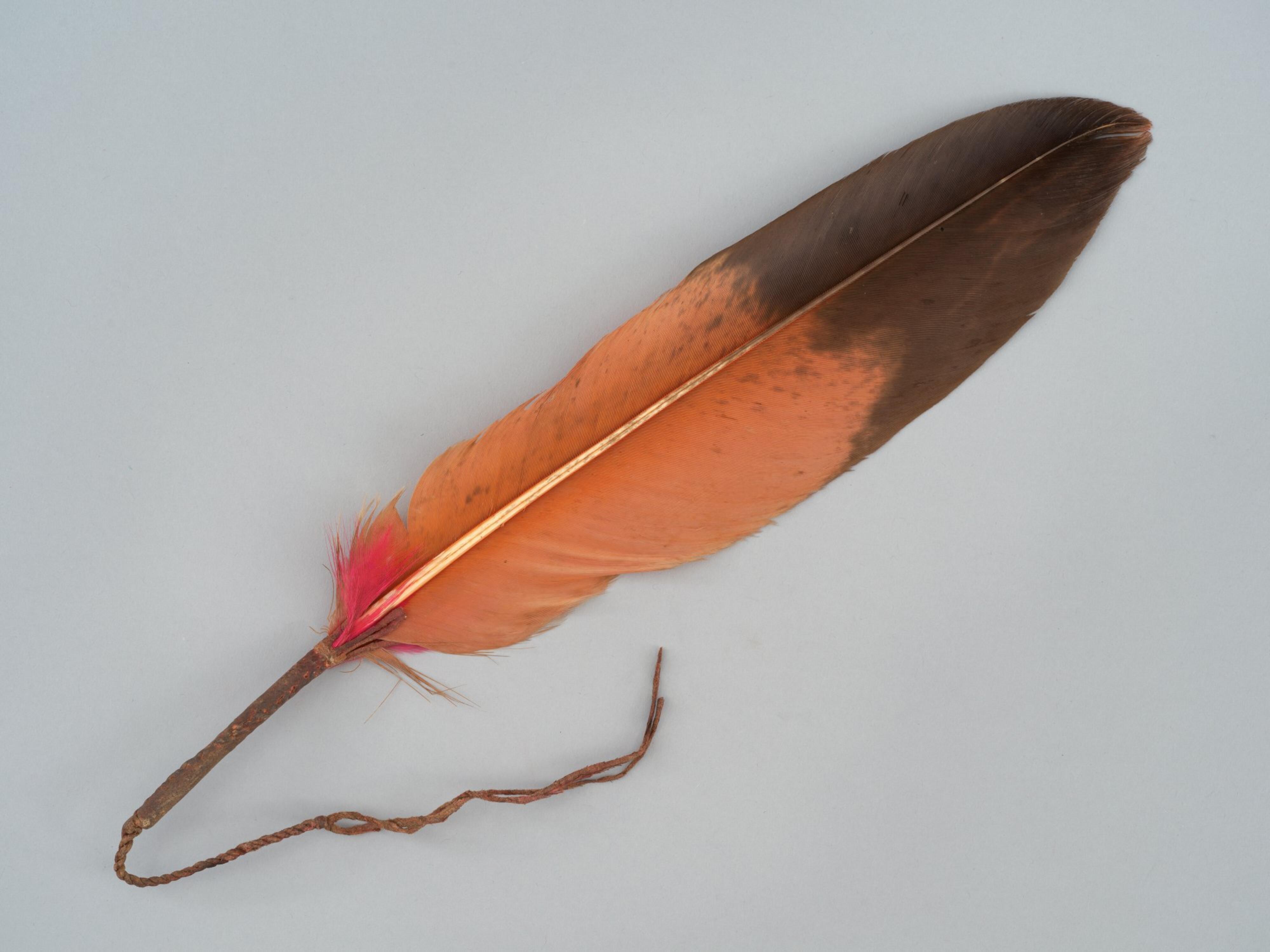 Feather used for Native American church service / Unknown - Gilcrease ...