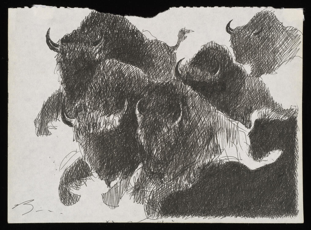 Stampeding Buffalo with a Shadow / Earl Biss Jr. - Gilcrease Museum