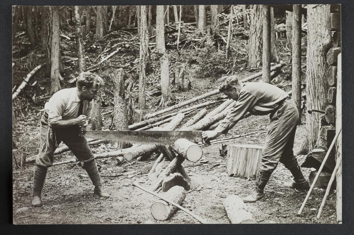 Photograph of two men sawing a log with a large hand-saw in the forest ...