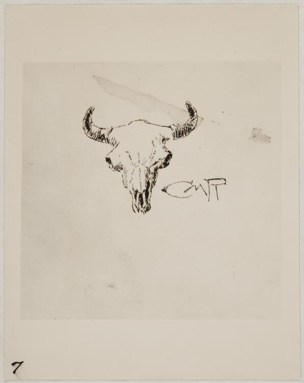 Sketch of Charles M. Russell's Signature Skull / Unknown - Gilcrease Museum